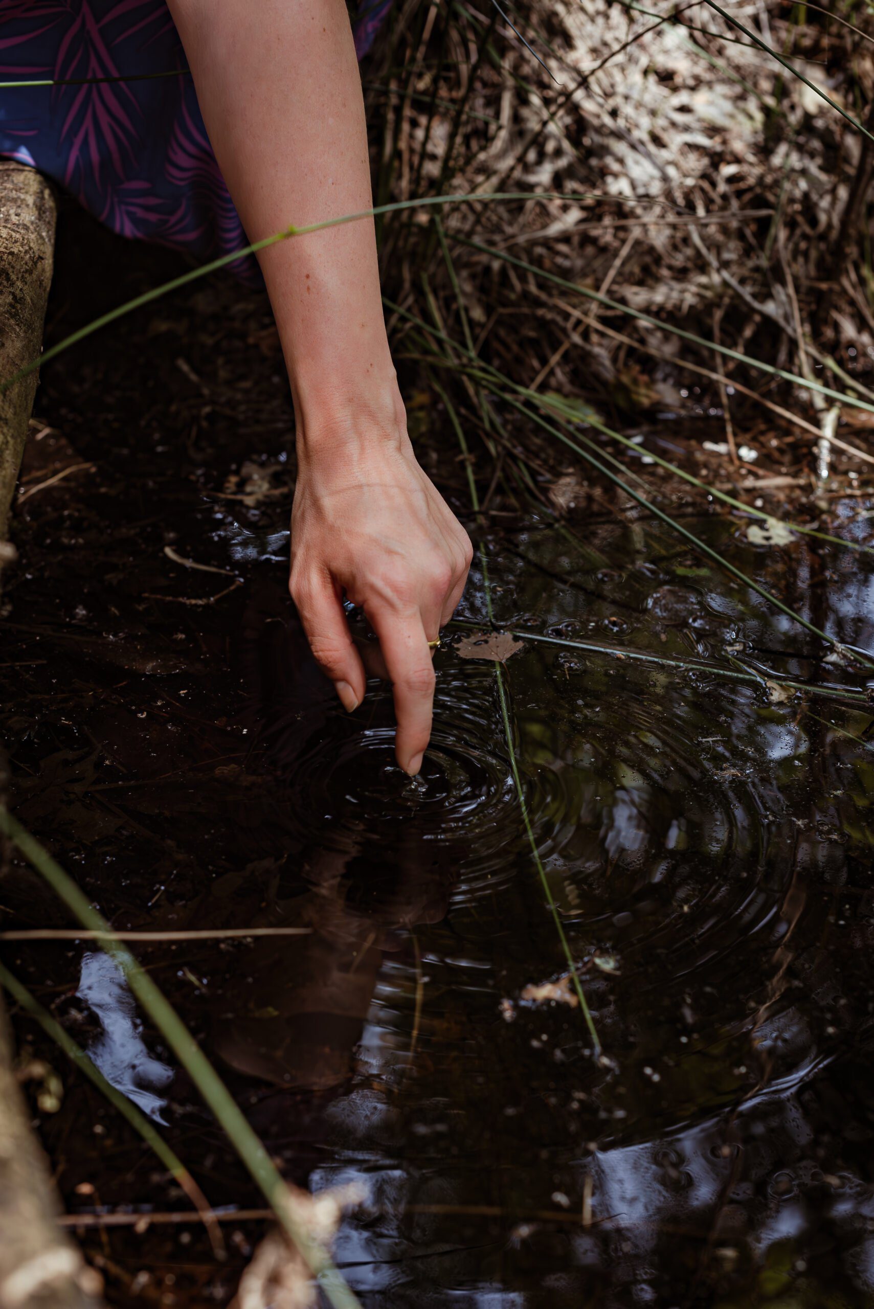Het Rimpeleffect | Buitenpsycholoog Rotterdam